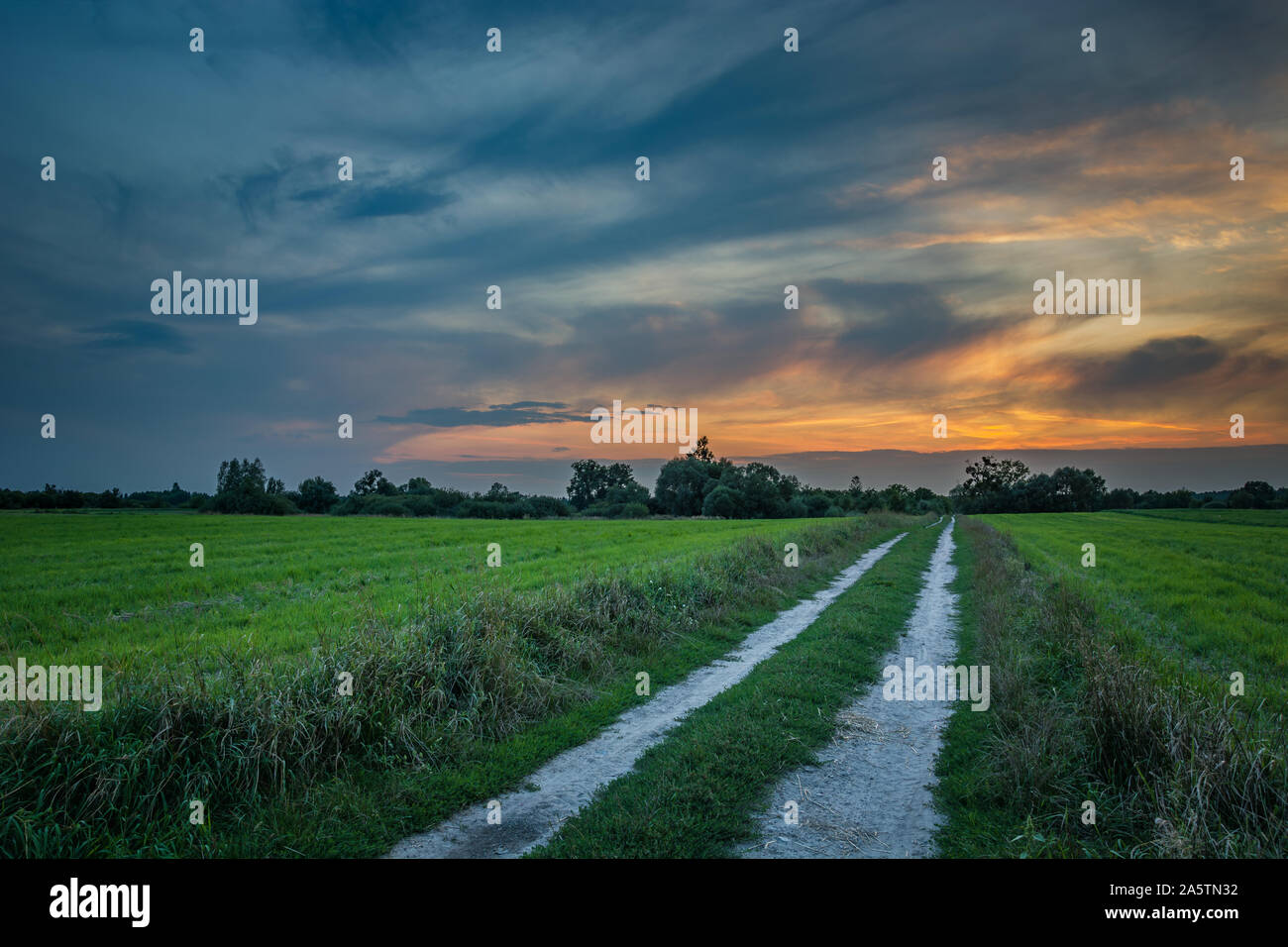 Dirt road through green fields, trees to the horizon and clouds after ...
