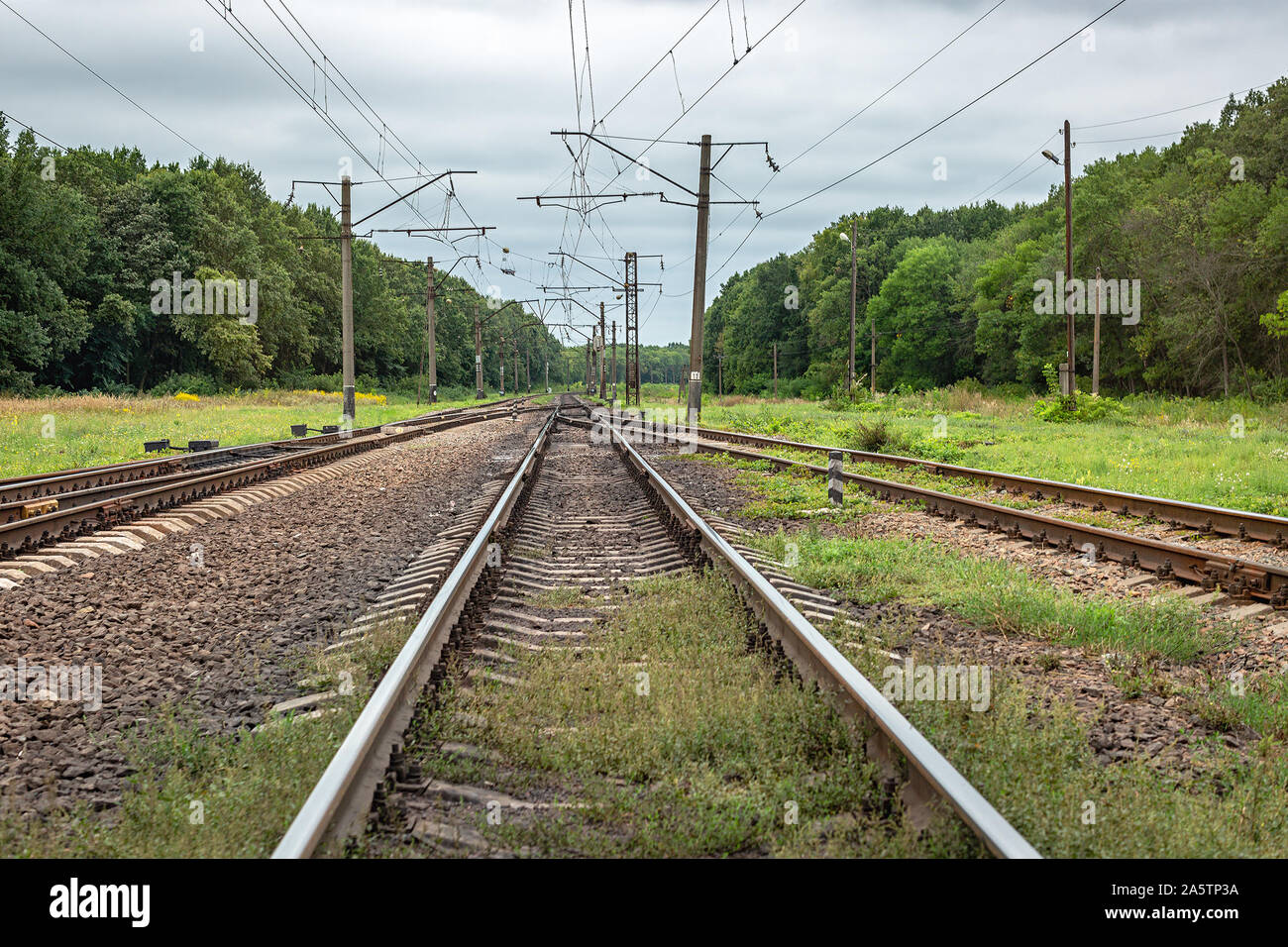 Three railway tracks merge together on the deciduous forest background ...
