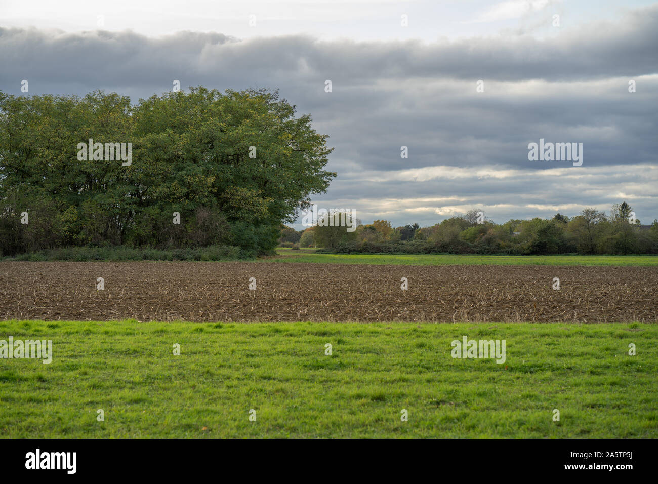 Monotonous landscape hi-res stock photography and images - Alamy
