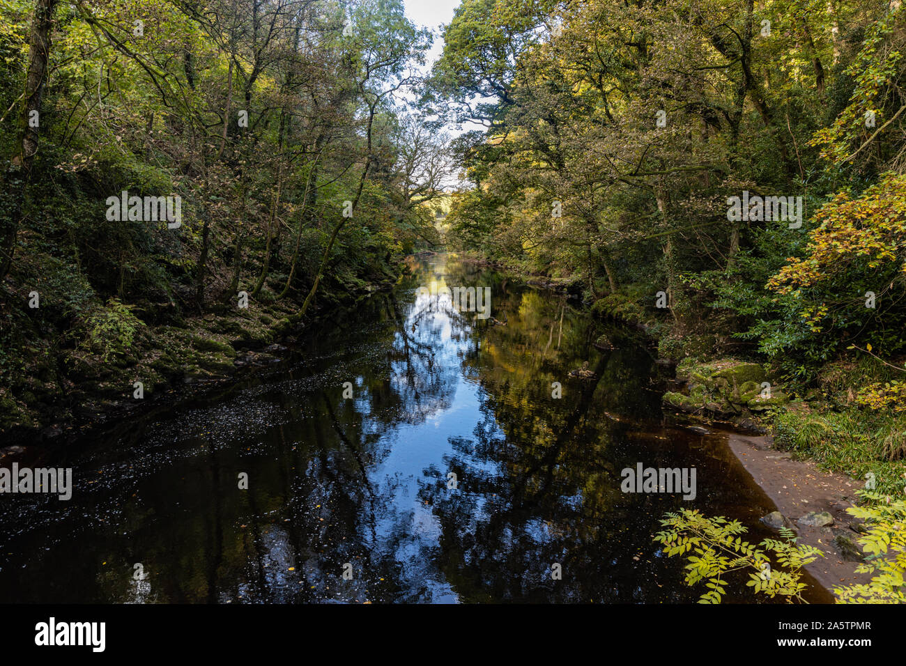 Roe valley river hi-res stock photography and images - Alamy