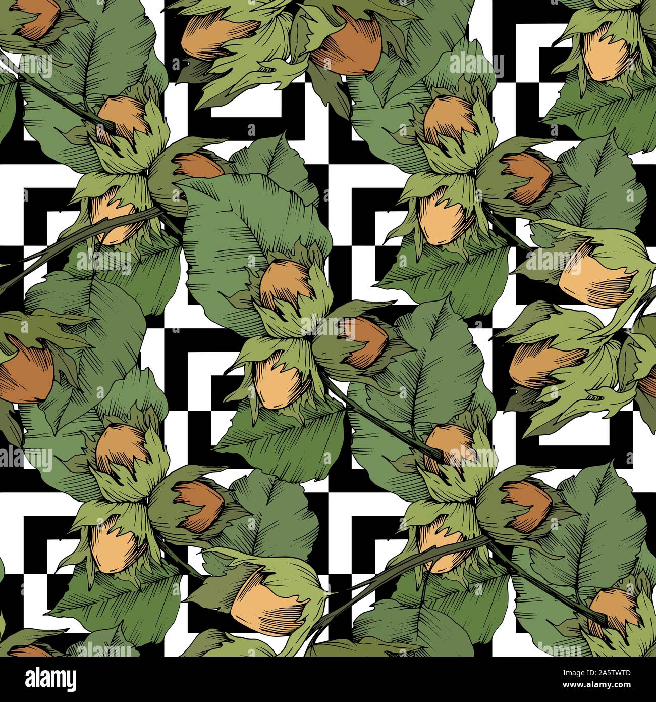 Vector autumn plant hazel nut. Leaf plant botanical garden floral ...