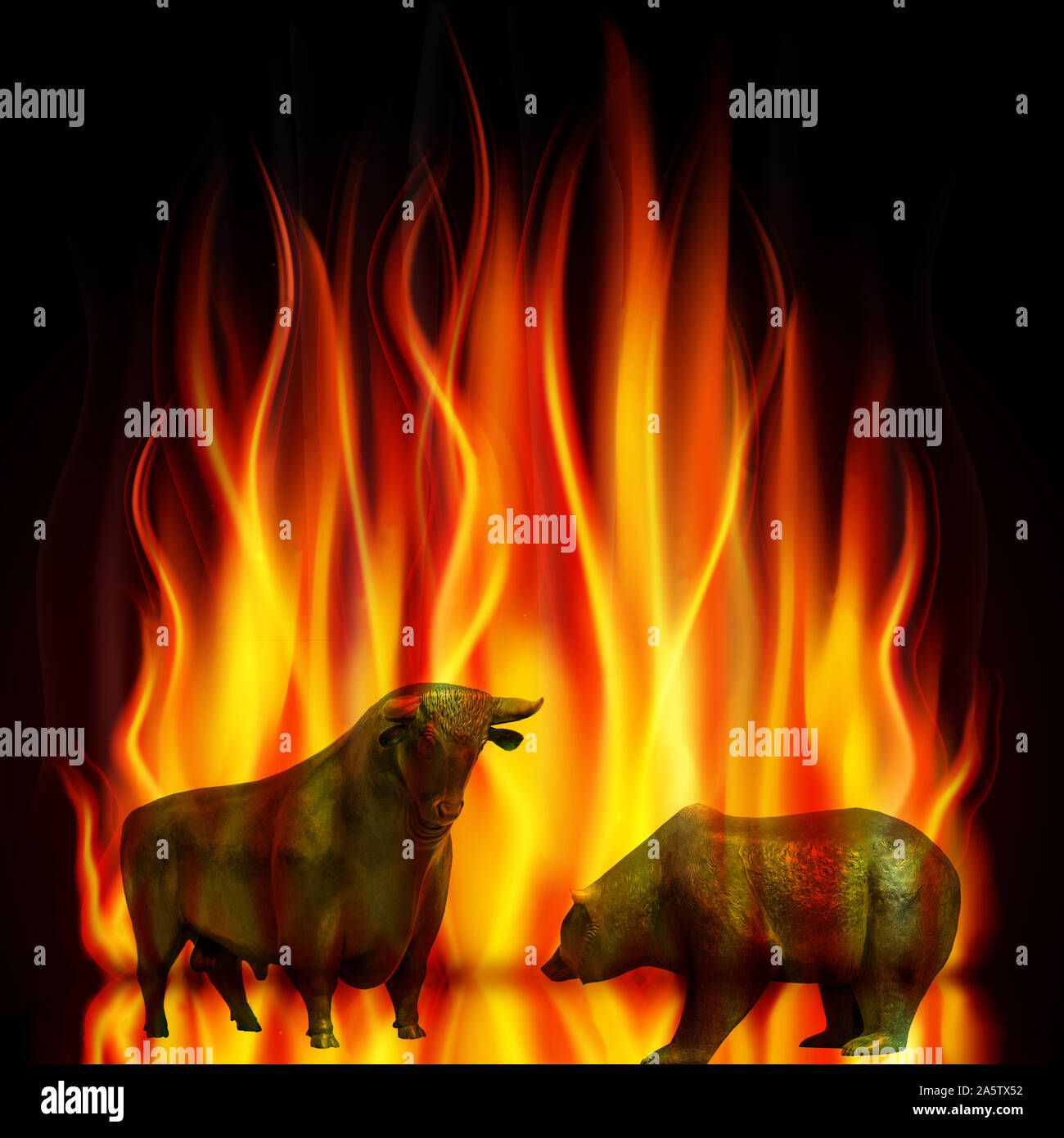 Bulle baer hi-res stock photography and images - Alamy