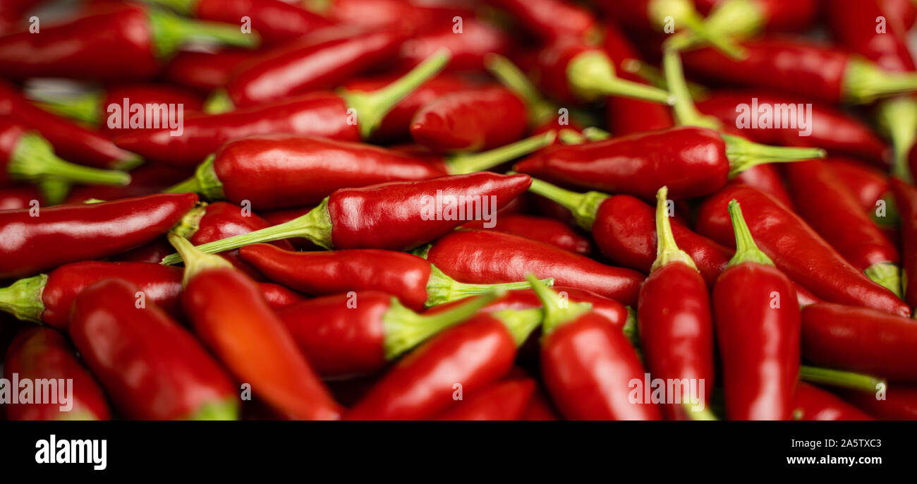 Pile of Fresh Chili and Ripe Red Hot Chili. Side view. Chili Saltillo ...