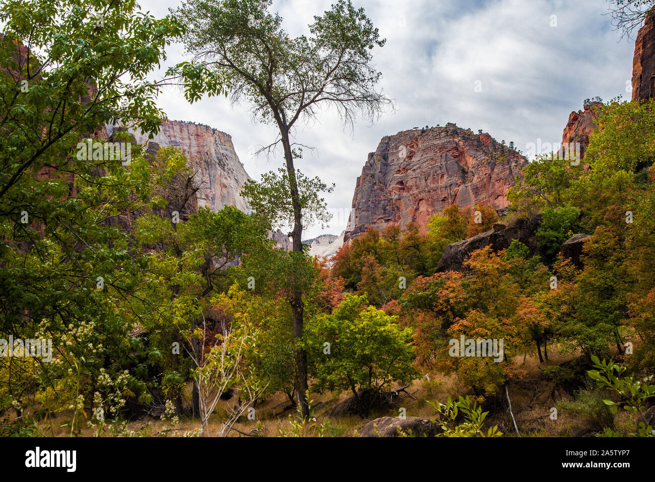 Zions National Park in the Fall. Zions is magnificent any time of year ...