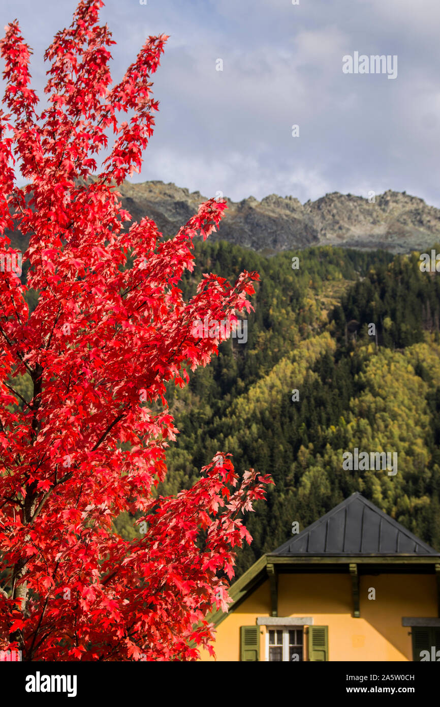 Autumn in Chamonix Mont Blanc, a ski resort at the foot of Mont Blanc ...