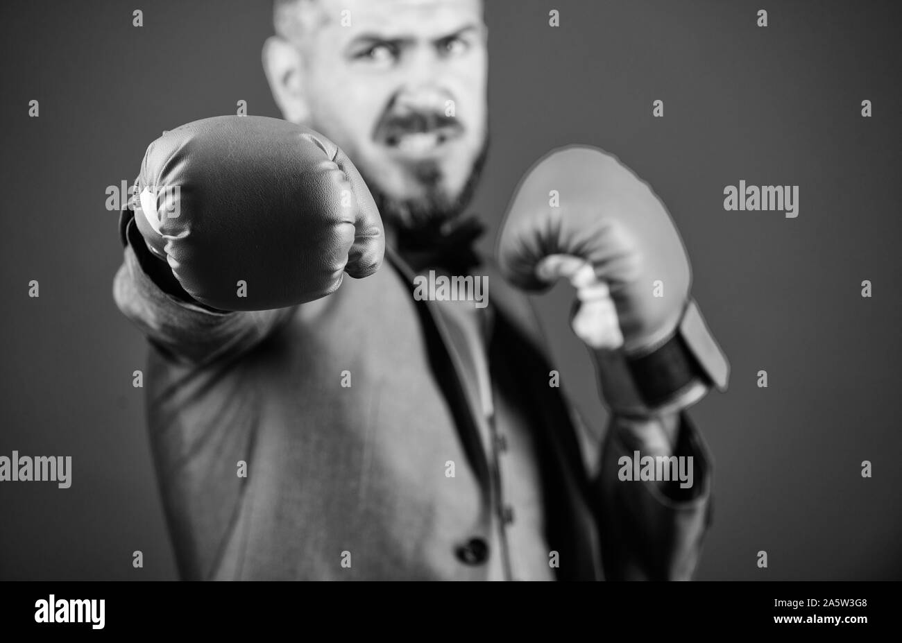 knockout and energy. Fight. businessman in formal suit and bow tie ...