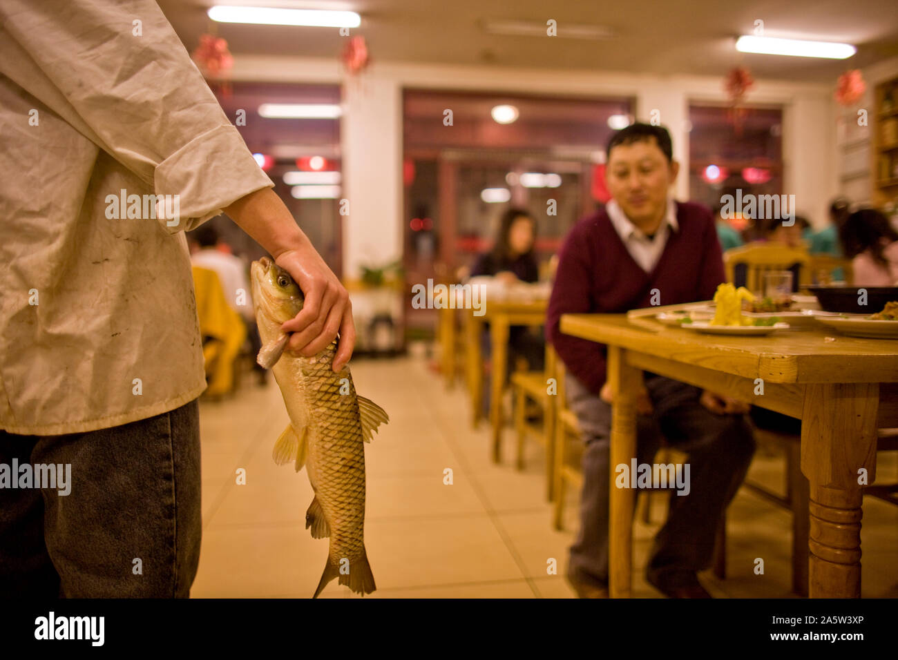 Fish being held by a man standing in a food hall Stock Photo - Alamy