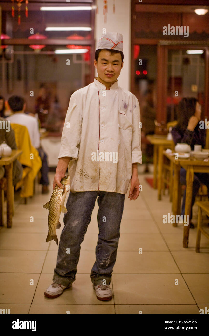 Portrait of a young chef holding a dead fish inside a food hall Stock ...