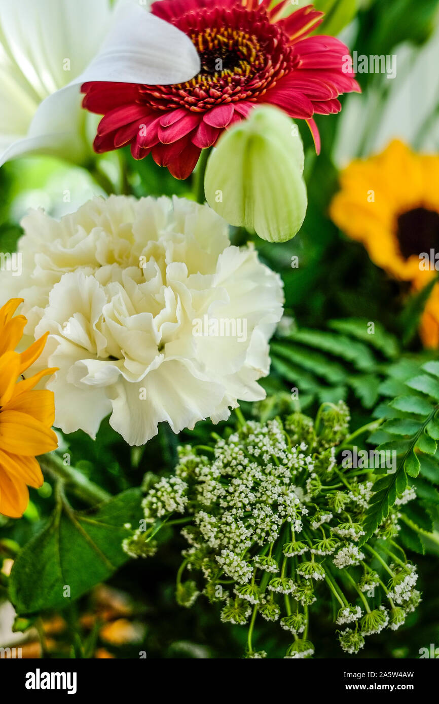 Pretty cut flowers hi-res stock photography and images - Alamy