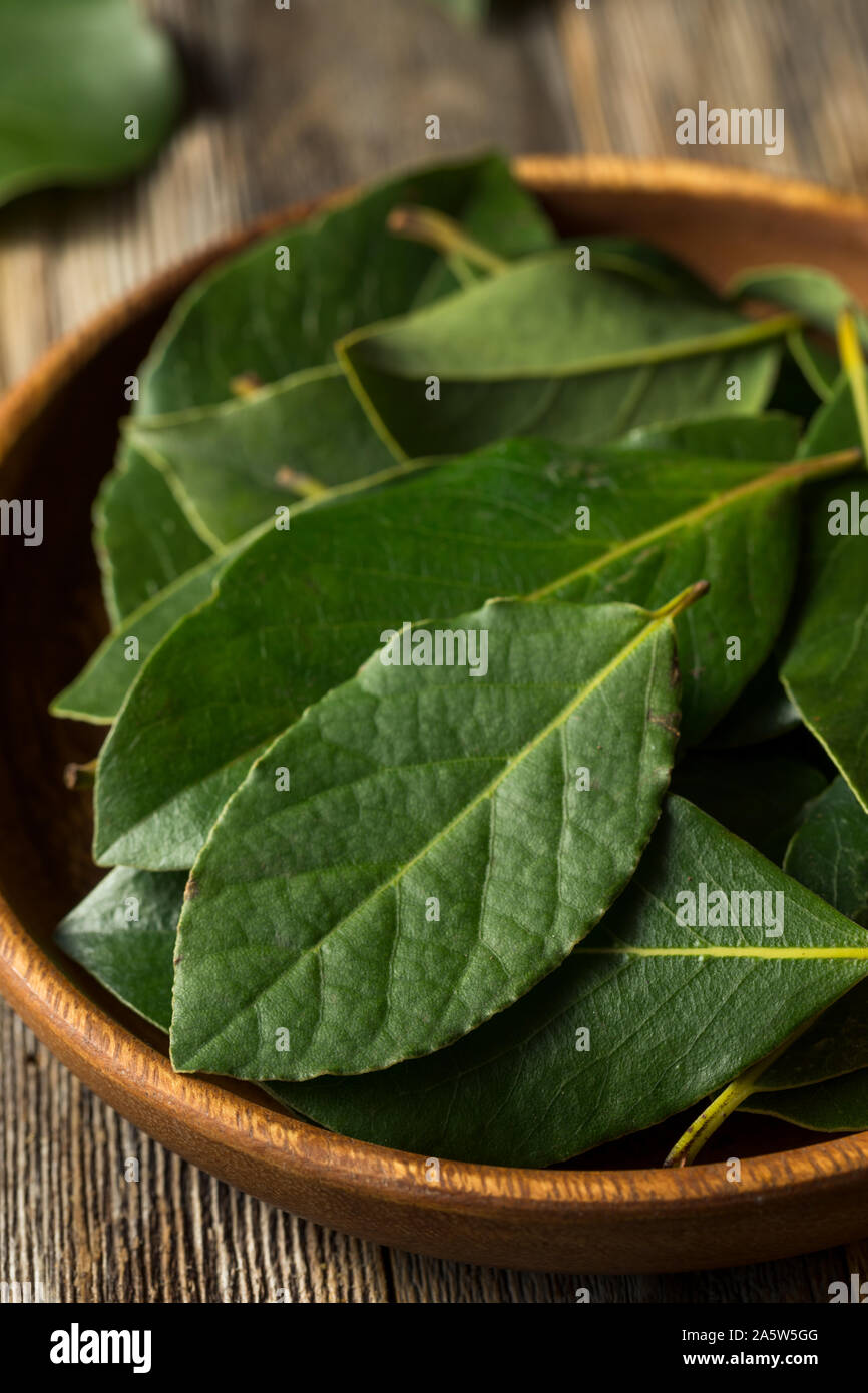 Raw Green Organic Bay Leaves in a Bunch Stock Photo - Alamy
