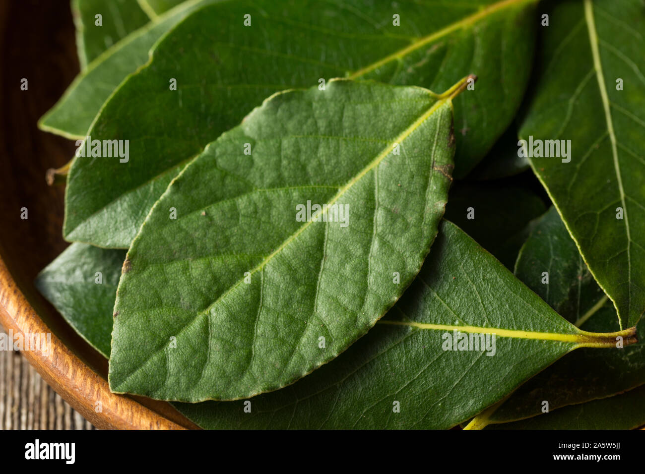 Dry bayleaves hi-res stock photography and images - Alamy