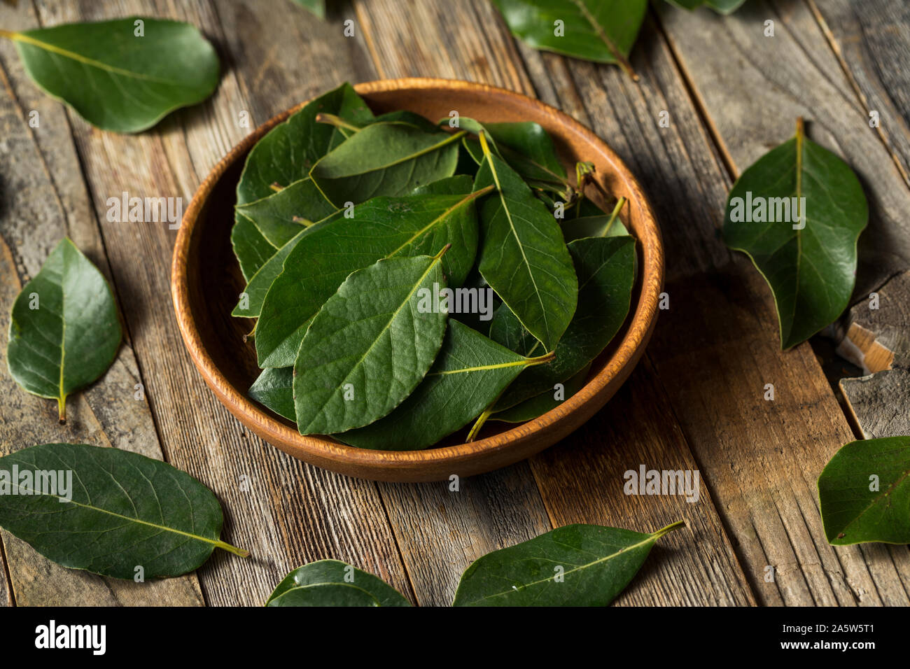 Raw Green Organic Bay Leaves in a Bunch Stock Photo - Alamy