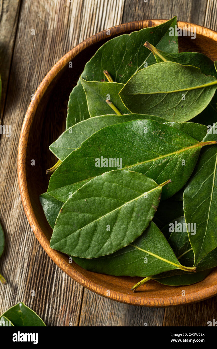 Raw Green Organic Bay Leaves in a Bunch Stock Photo - Alamy