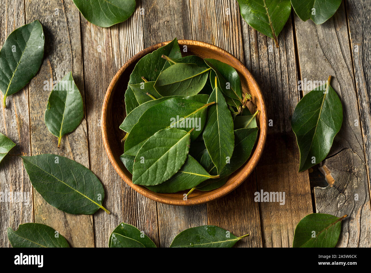 Raw Green Organic Bay Leaves in a Bunch Stock Photo - Alamy