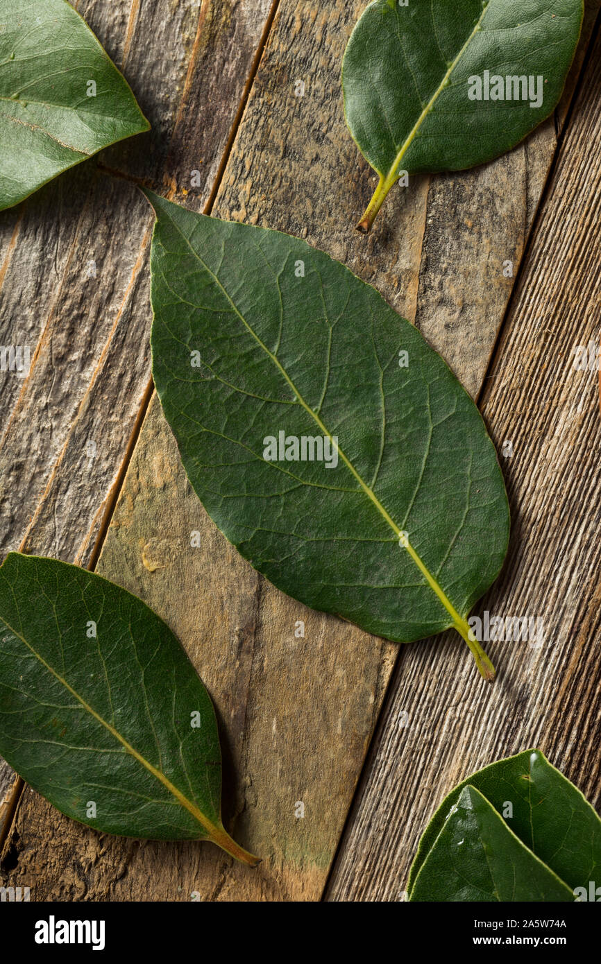 Raw Green Organic Bay Leaves in a Bunch Stock Photo - Alamy