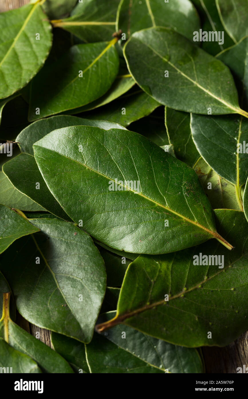 Raw Green Organic Bay Leaves in a Bunch Stock Photo - Alamy