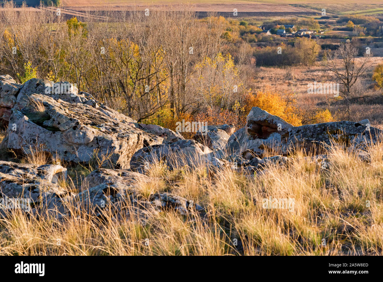 Picturesque steppe landscape with rocks, grass and fall trees before ...