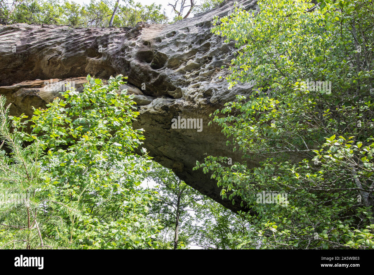 Natural Arch Scenic Area, Kentucky Stock Photo - Alamy