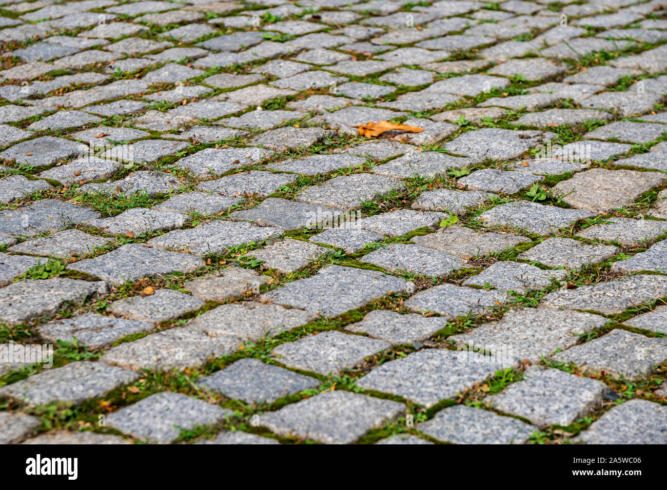 Stone Block Seamless Texture, The road to pedestrians. Street Stock ...