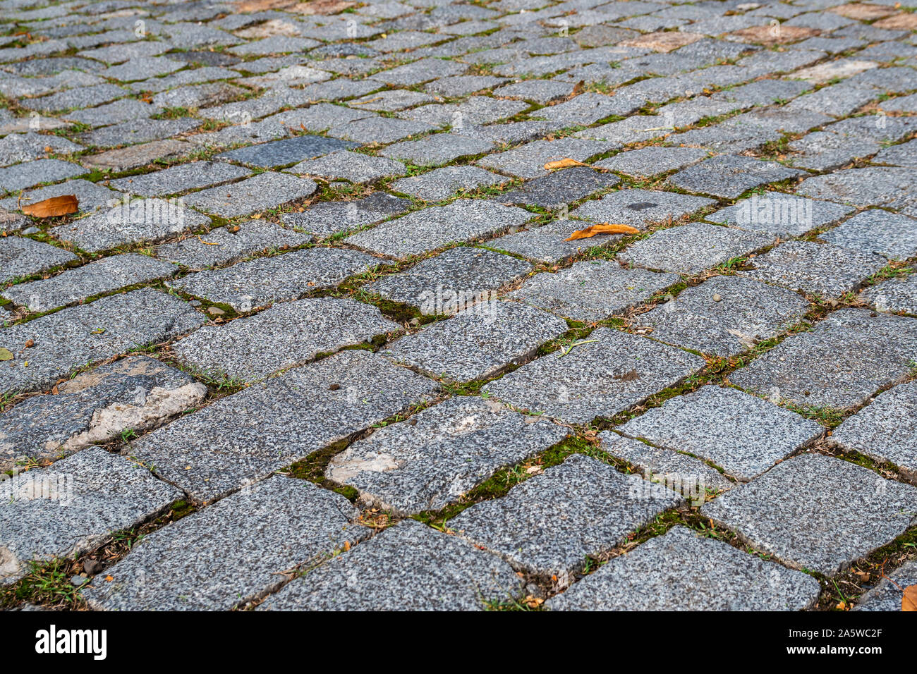 Stone Block Seamless Texture, The road to pedestrians. Street Stock ...