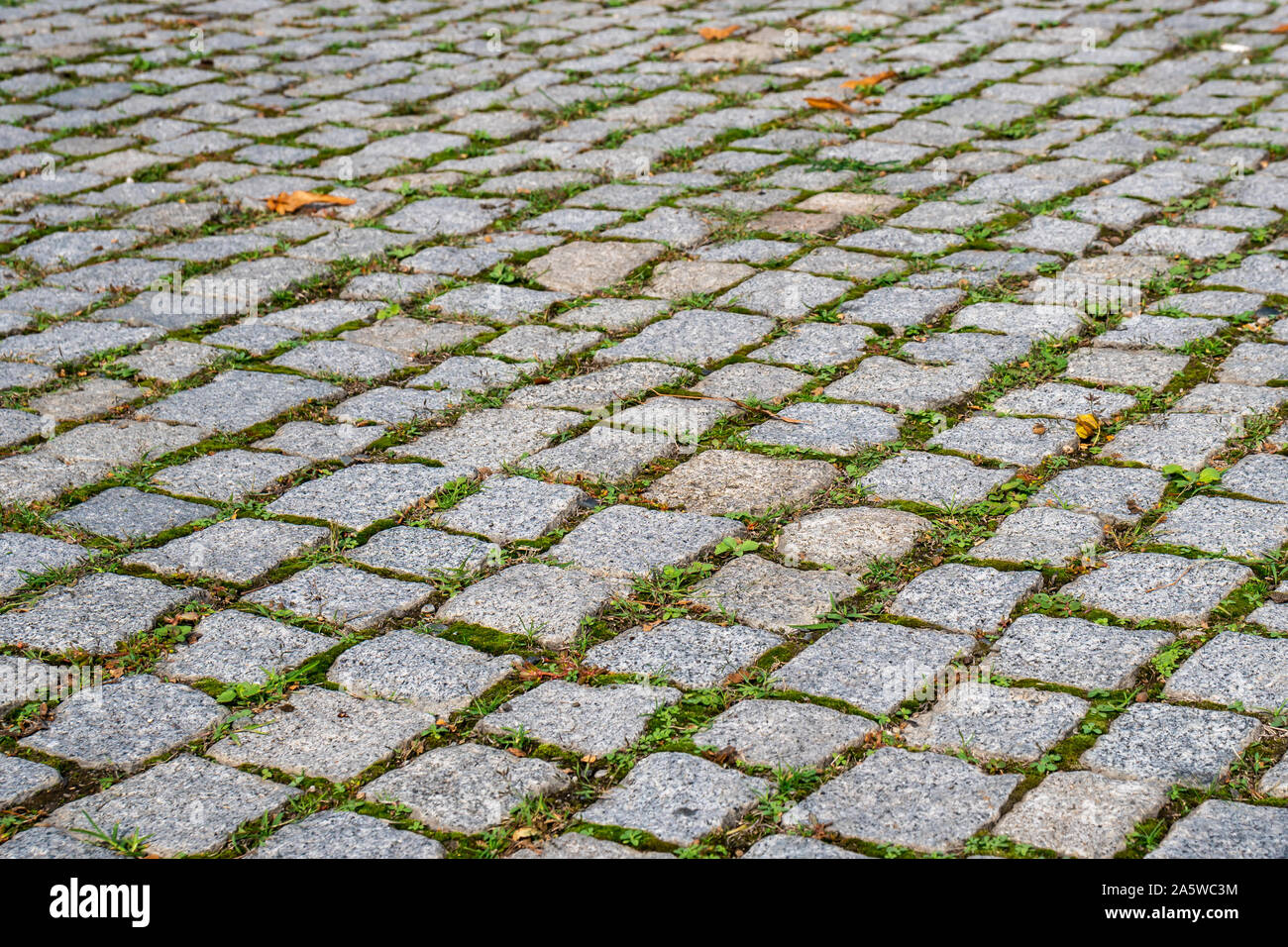 Stone Block Seamless Texture, The road to pedestrians. Street Stock ...