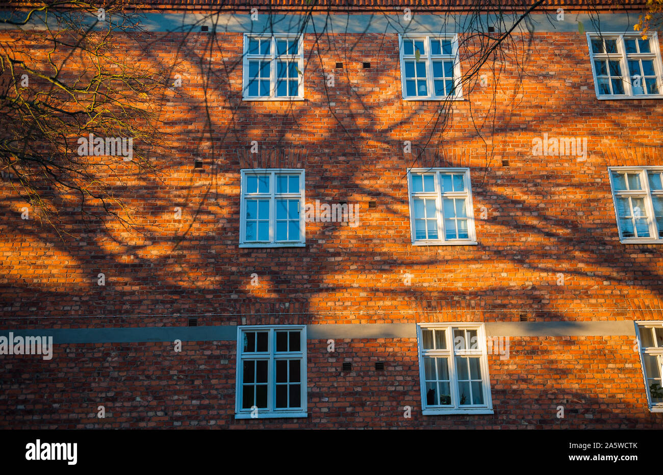 Tree shadows on the sidewall of building Stock Photo - Alamy