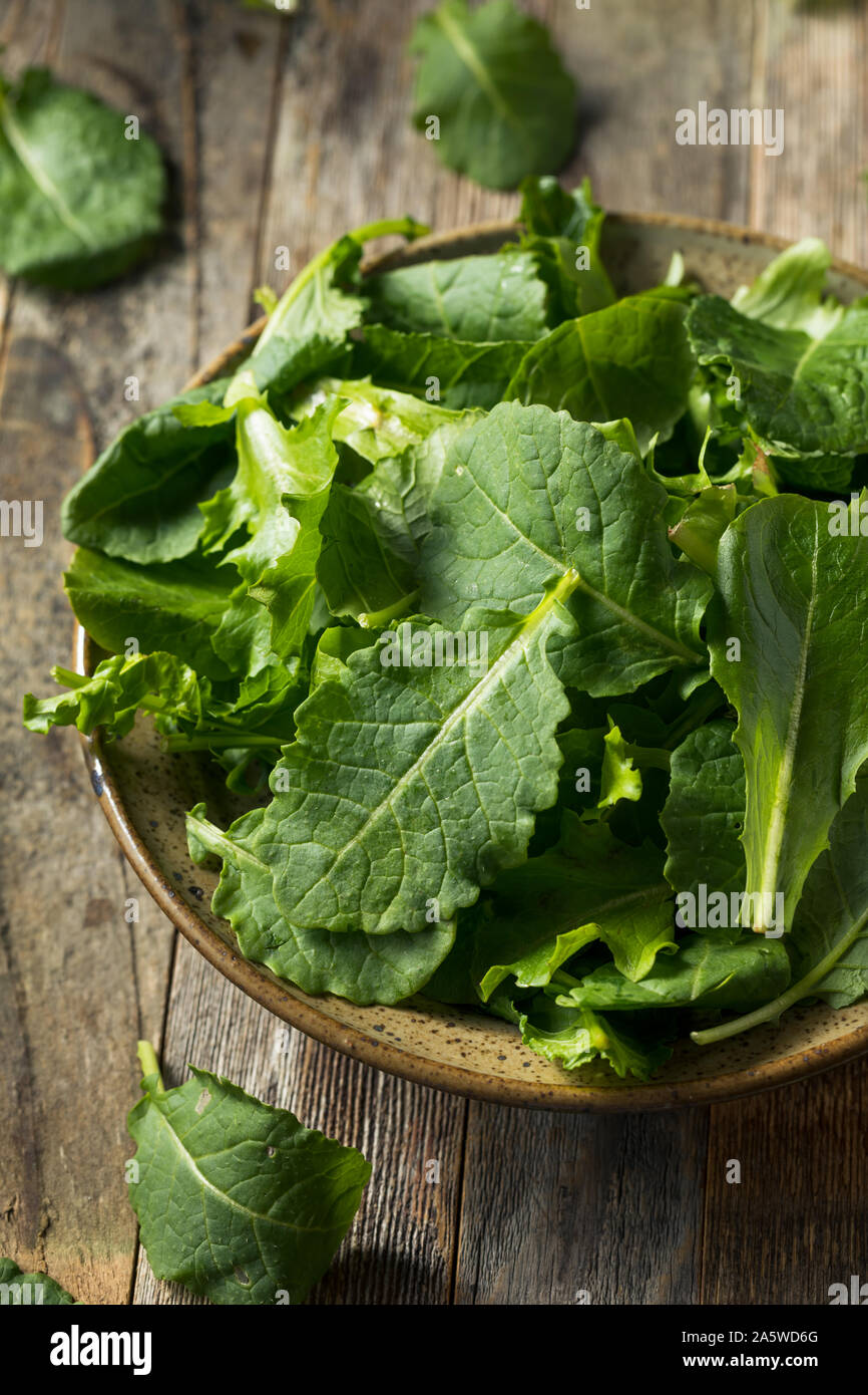 Raw Green Organic Baby Kale Superfood with Antioxidents Stock Photo - Alamy