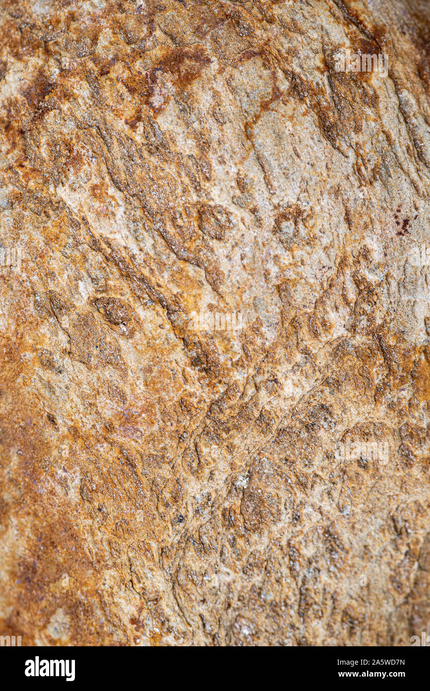 Light Brown Rock Texture