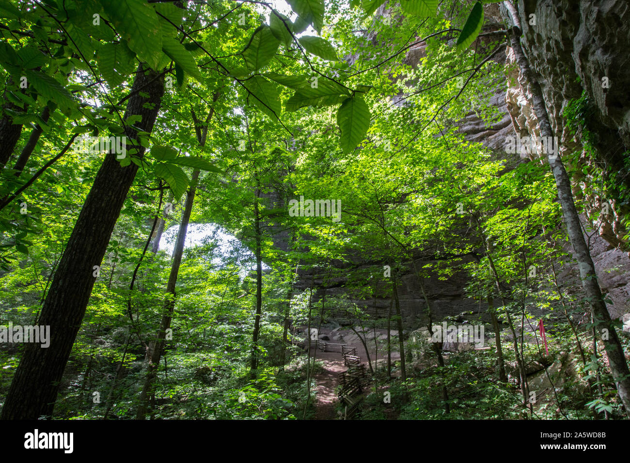 Natural Arch Scenic Area, Kentucky Stock Photo - Alamy