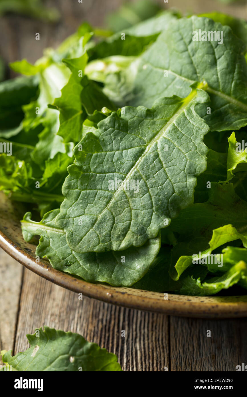 Raw Green Organic Baby Kale Superfood with Antioxidents Stock Photo - Alamy