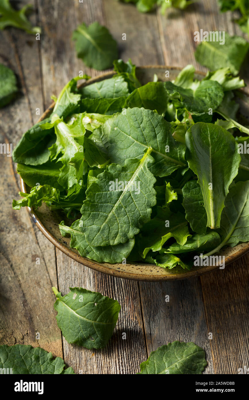 Raw Green Organic Baby Kale Superfood with Antioxidents Stock Photo - Alamy
