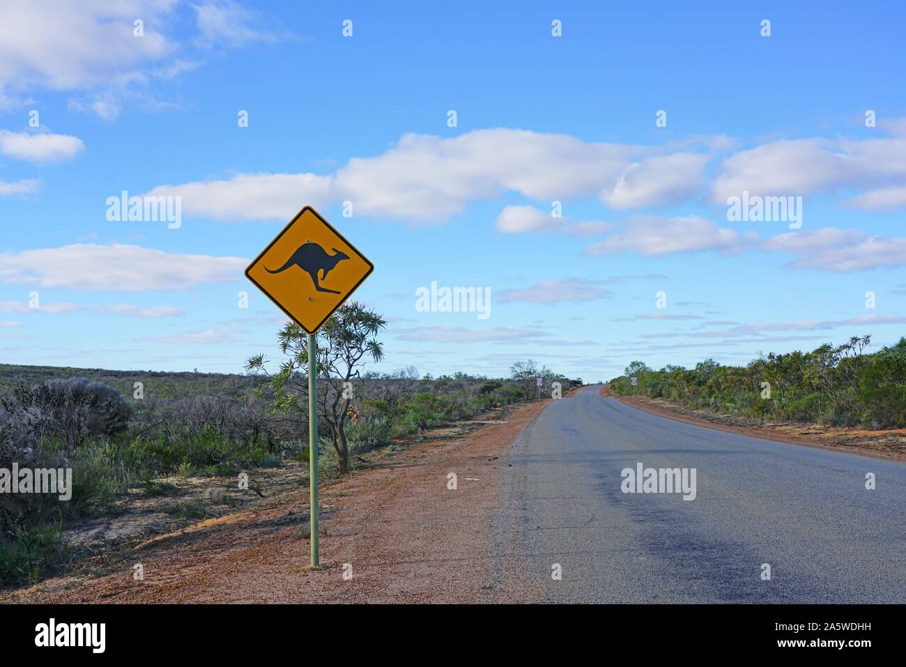 A yellow kangaroo crossing road sign on the road in Western Australia ...
