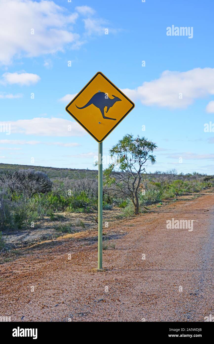 A yellow kangaroo crossing road sign on the road in Western Australia ...