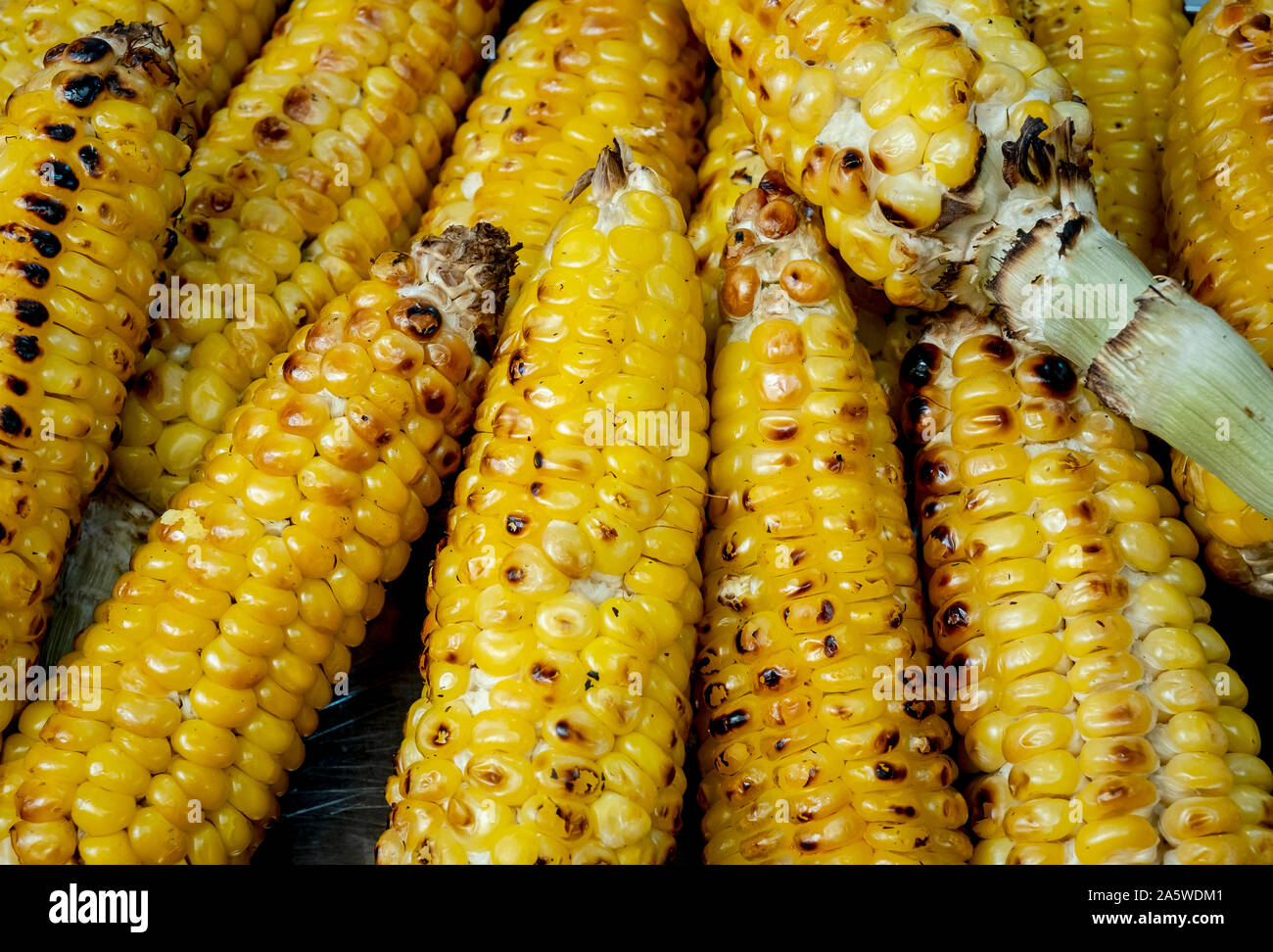 roasted corn, typical Colombian gastronomy Stock Photo - Alamy