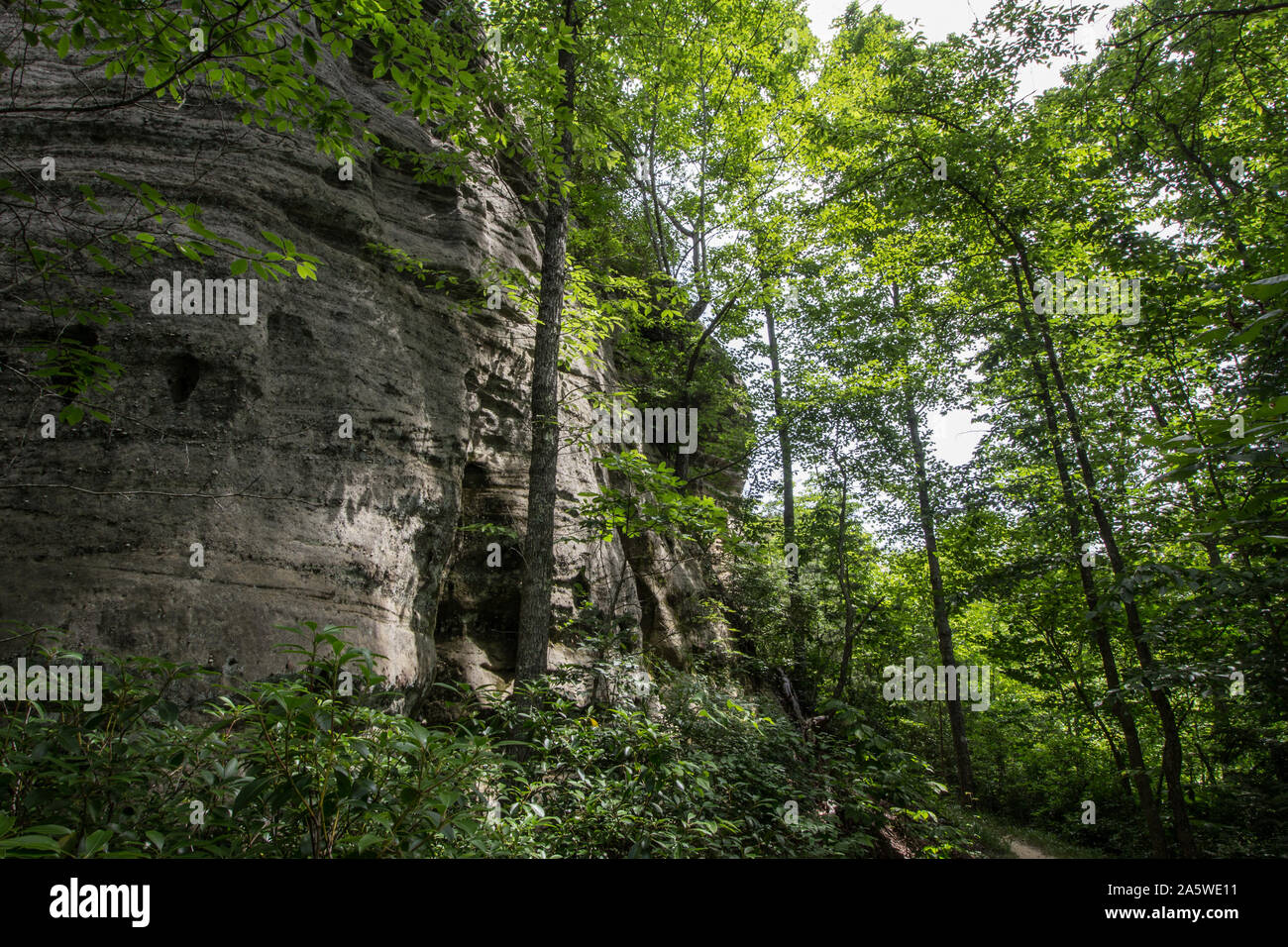 Natural Arch Scenic Area, Kentucky Stock Photo - Alamy