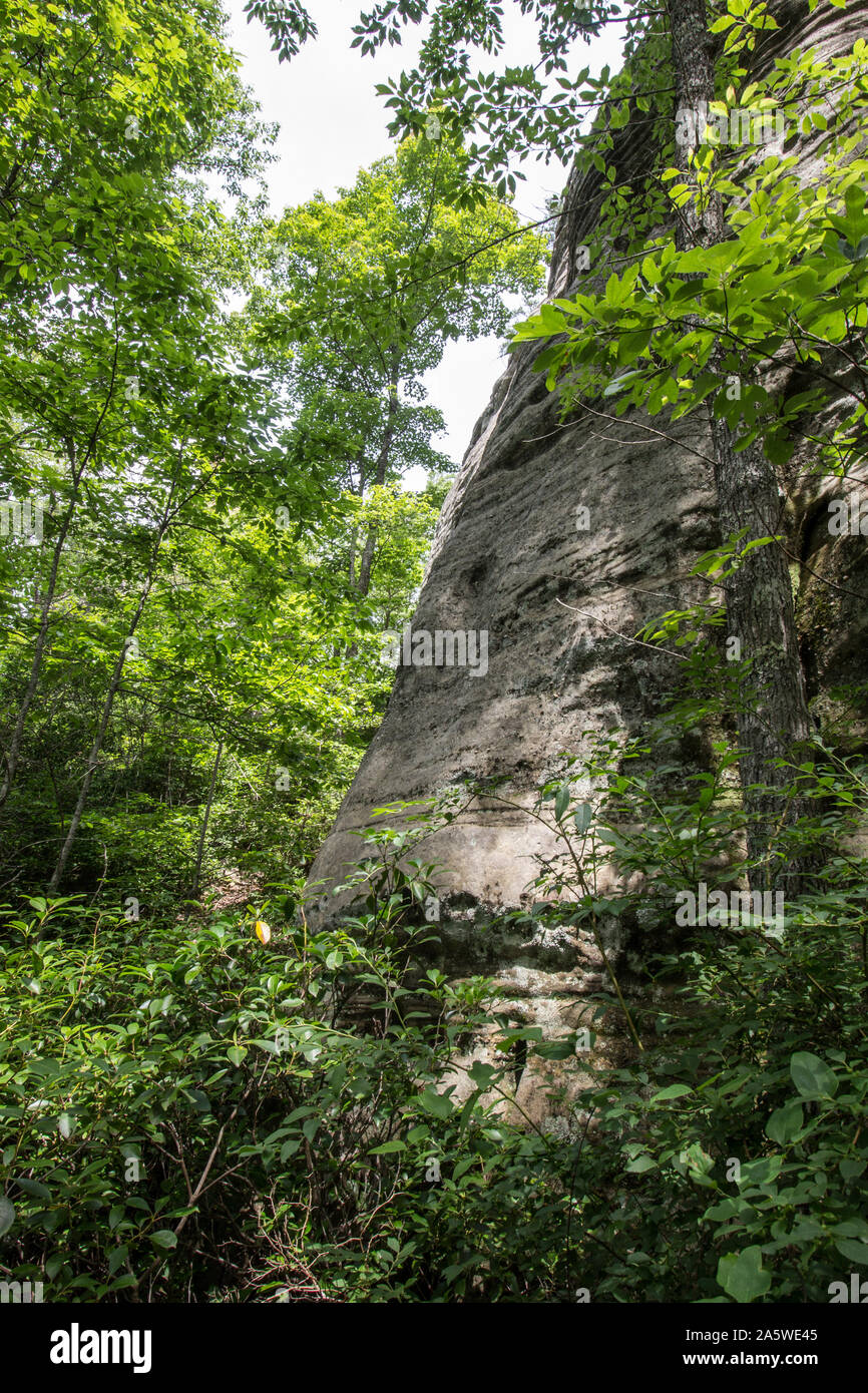 Natural Arch Scenic Area, Kentucky Stock Photo - Alamy