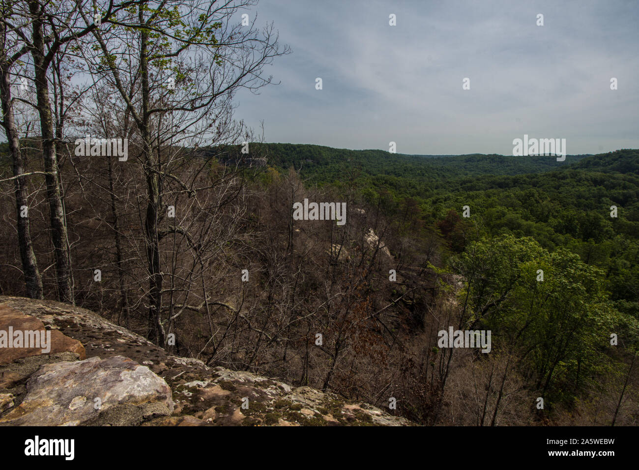 Natural Arch Scenic Area, Kentucky Stock Photo - Alamy