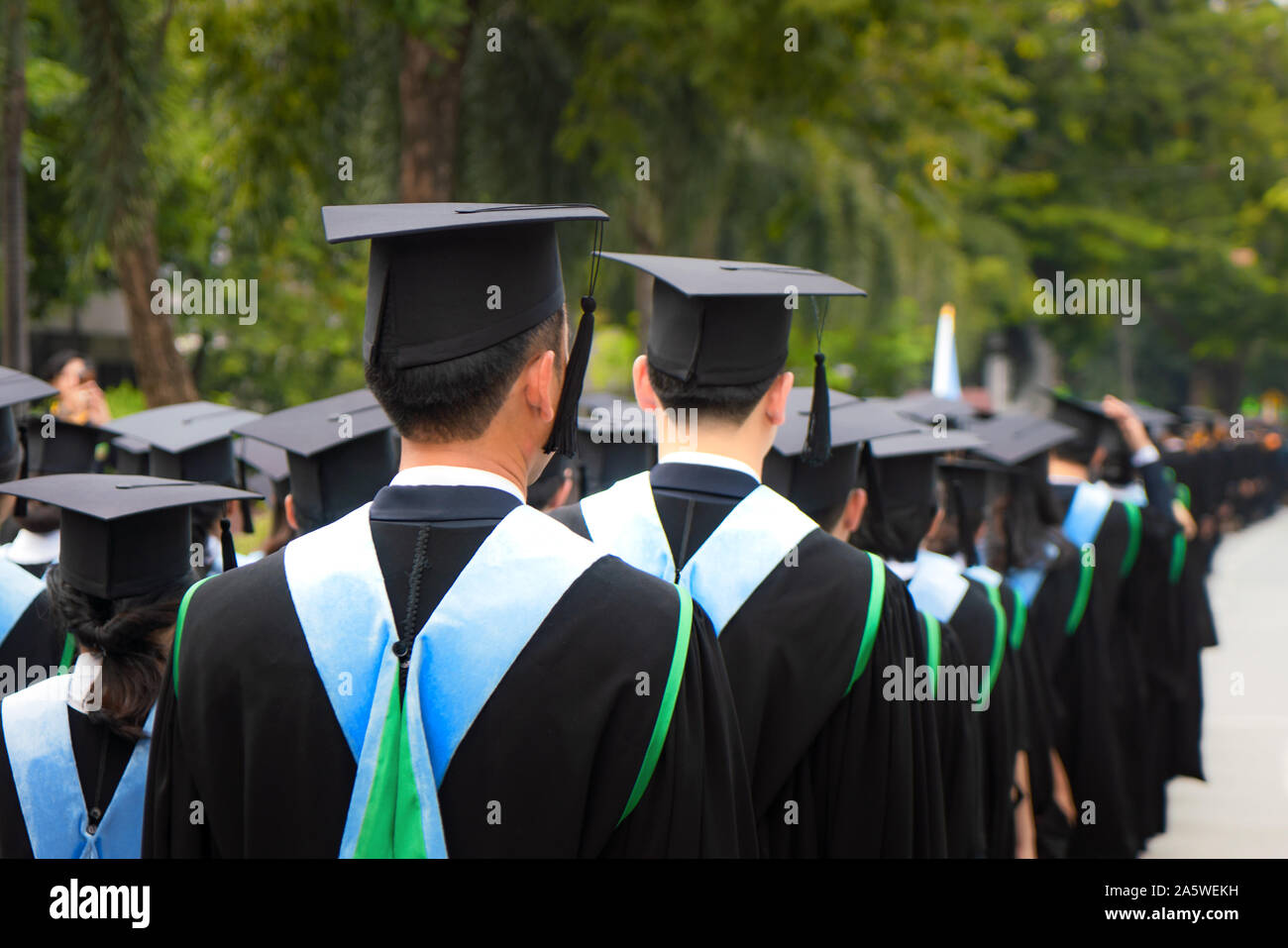Rear view of group of university graduates in black gowns lines up for ...