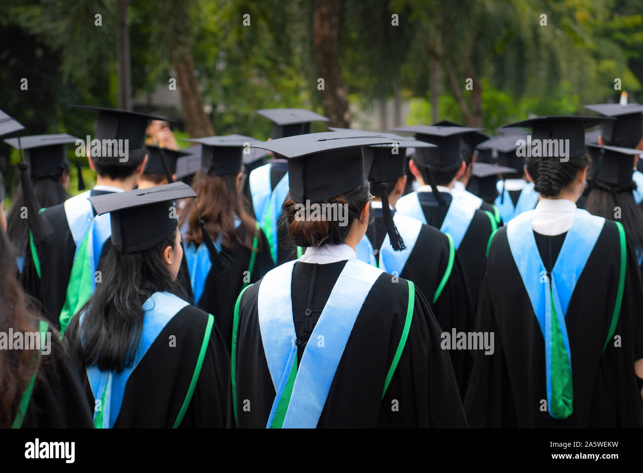 Rear view of group of university graduates in black gowns lines up for ...