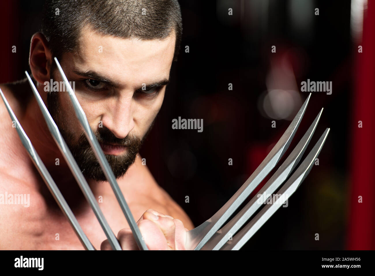 Wolverine With Claws Standing Strong In Gymand Flexing Muscles ...