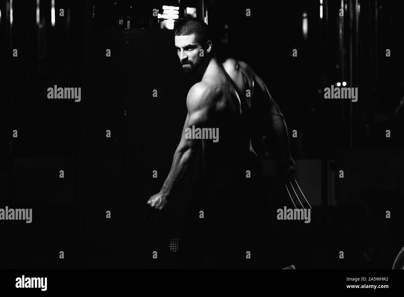 Wolverine With Claws Standing Strong In Gymand Flexing Muscles ...