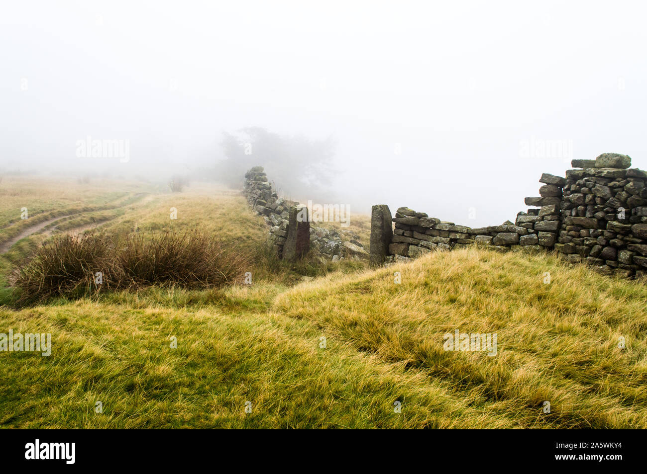 Spooky moorland hi-res stock photography and images - Alamy