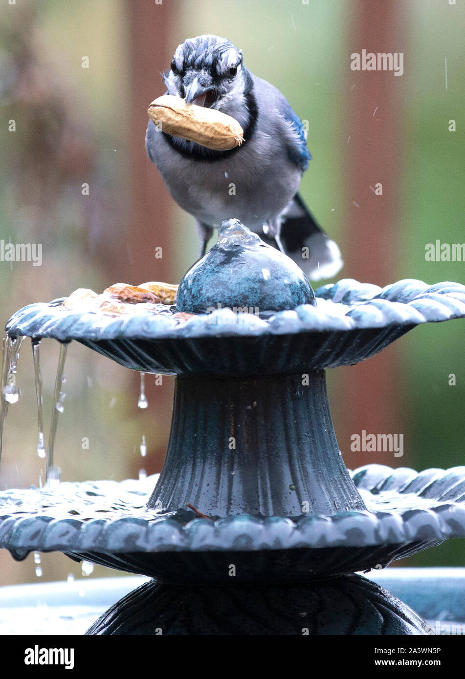 Bubbling water hi-res stock photography and images - Alamy