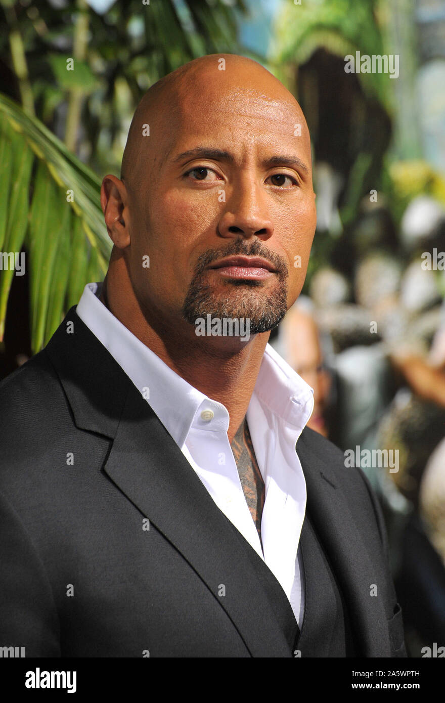 LOS ANGELES, CA. February 02, 2012: Dwayne Johnson, aka "The Rock", at ...