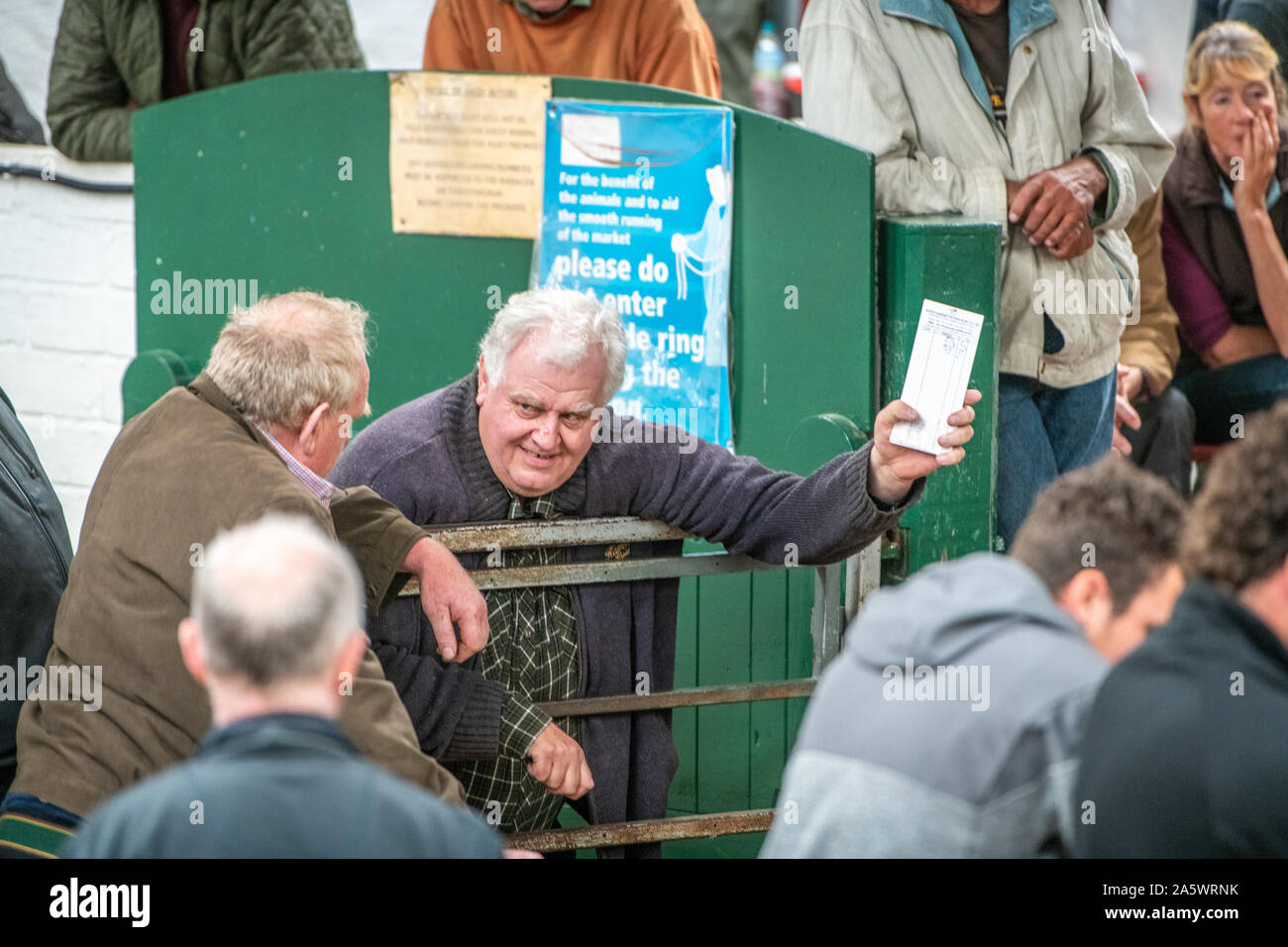 A man waves his auction ticket gleefully, Hawes, Yorkshire, UK Stock ...