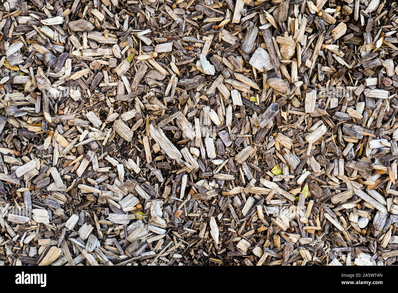 Seamless texture chips hi-res stock photography and images - Alamy