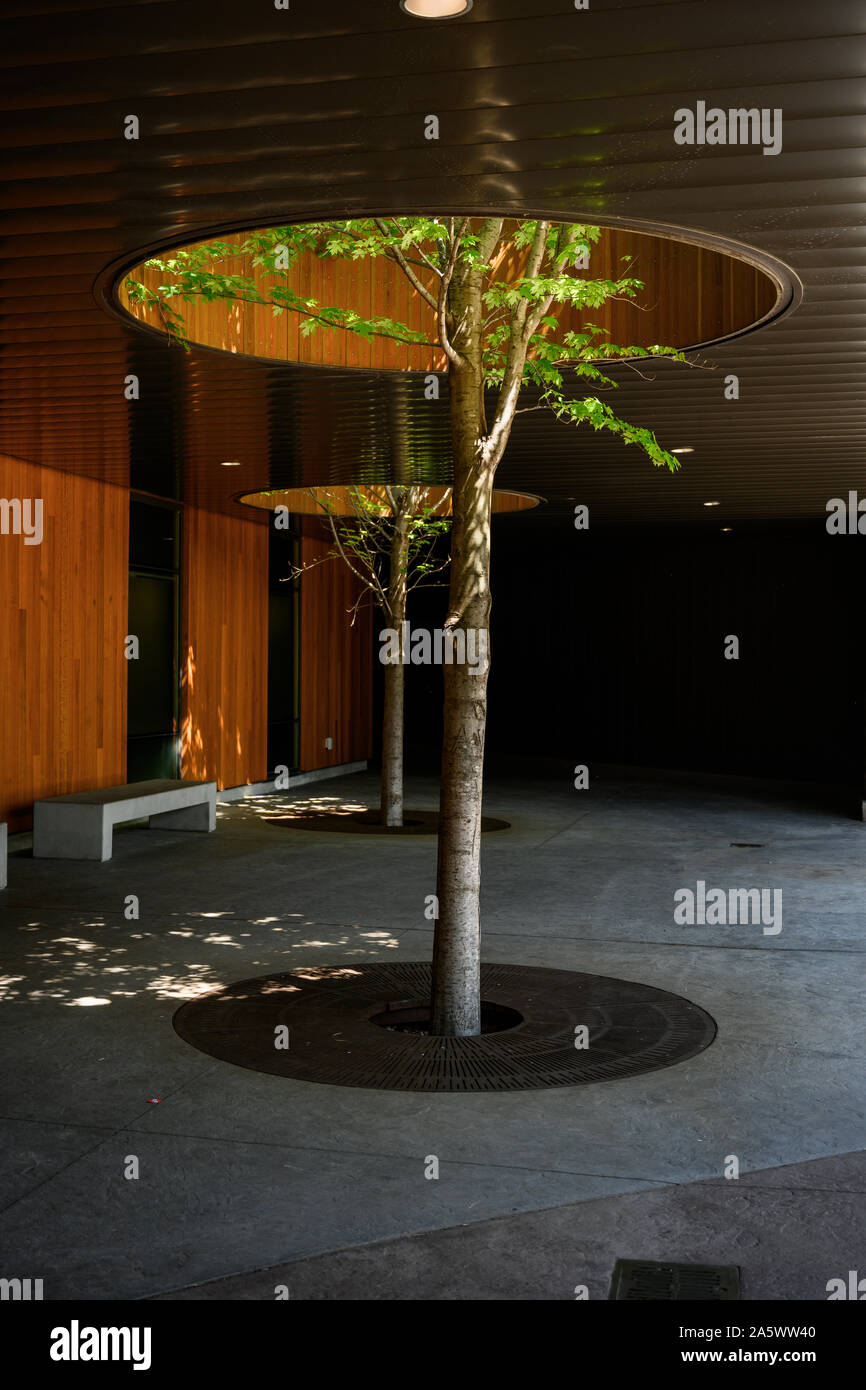 Tree growing through roof hi-res stock photography and images - Alamy