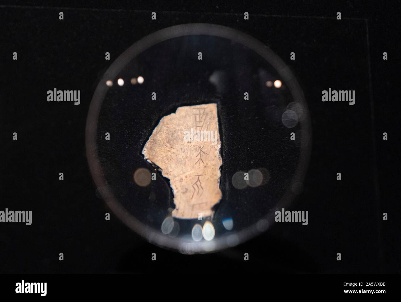 Beijing, China. 22nd Oct, 2019. Photo taken on Oct. 22, 2019 shows an ...