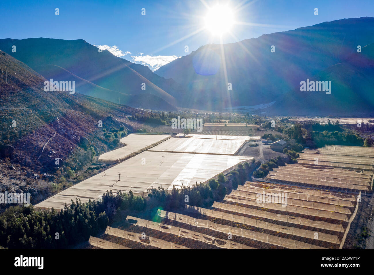 Fields and farmland for the growth of grapes for Pisco production ...