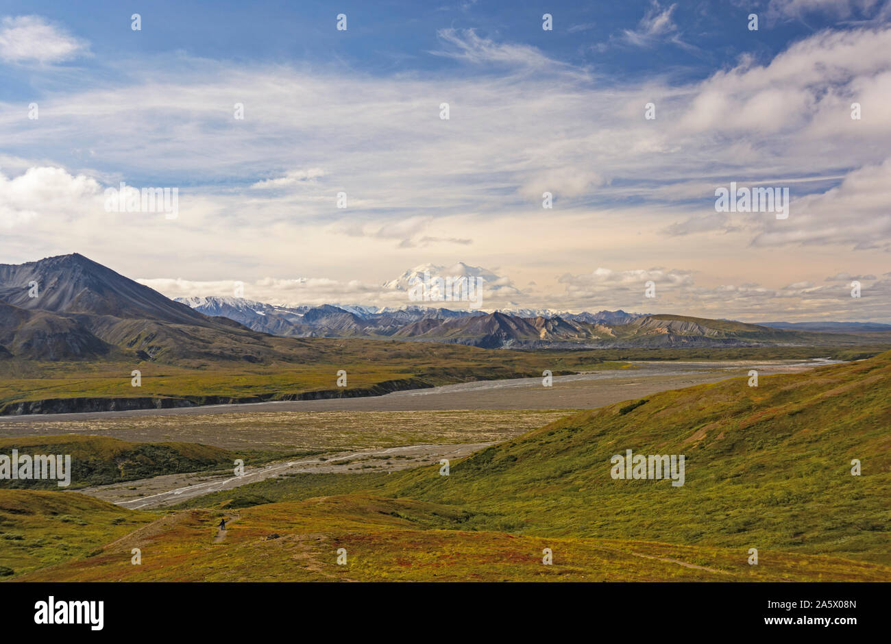 Denali Peaking out of the Clouds across the Tundra in Denali National ...